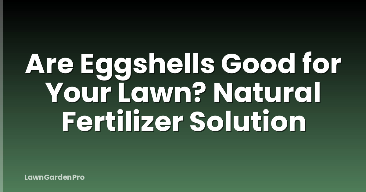 Are Eggshells Good for Your Lawn? Natural Fertilizer Solution ...