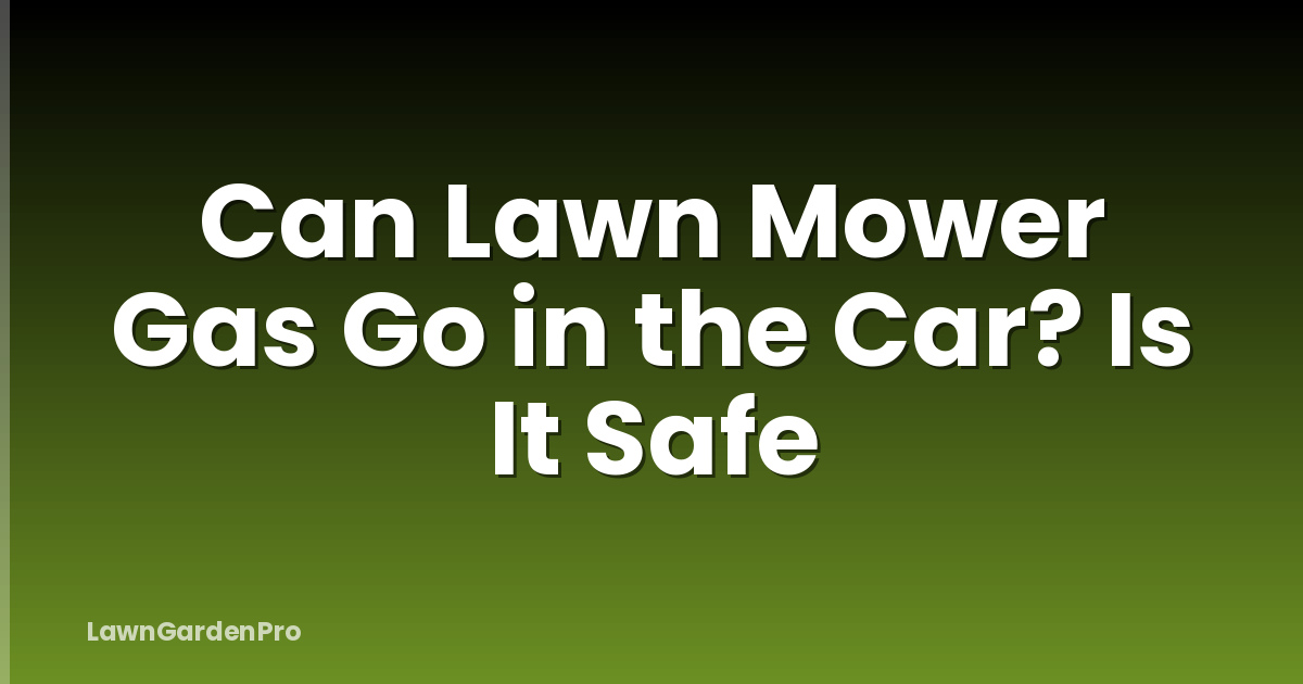 Can Lawn Mower Gas Go in the Car? Is It Safe - LawnGardenPro