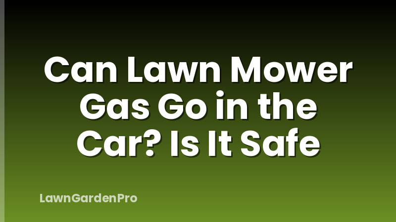 Can Lawn Mower Gas Go in the Car? Is It Safe - LawnGardenPro