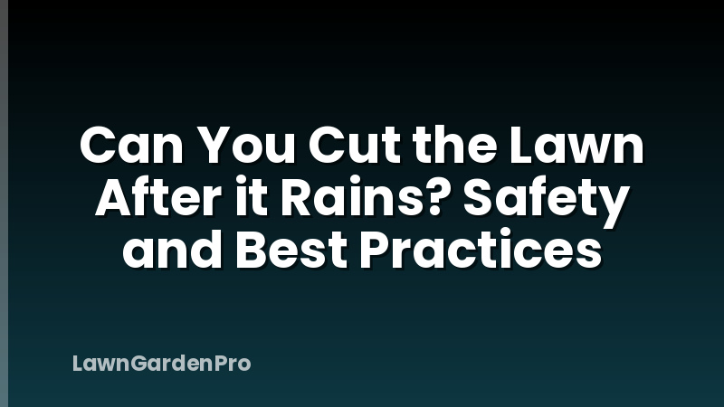 Can You Cut the Lawn After it Rains? Safety and Best Practices ...