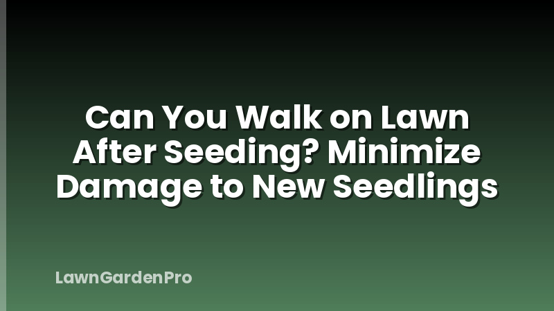 Can You Walk on Lawn After Seeding? Minimize Damage to New Seedlings ...