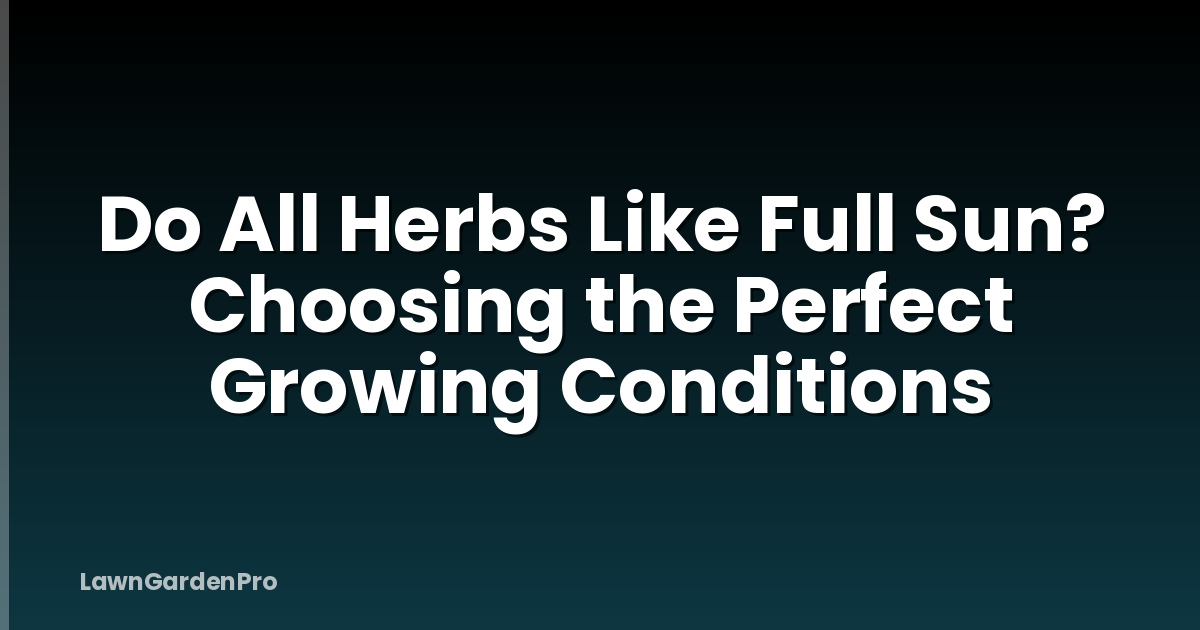 Do All Herbs Like Full Sun? Choosing the Perfect Growing Conditions ...