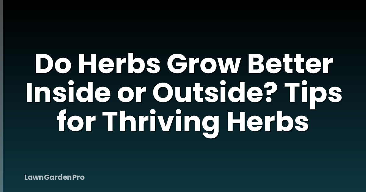 Do Herbs Grow Better Inside or Outside? Tips for Thriving Herbs ...