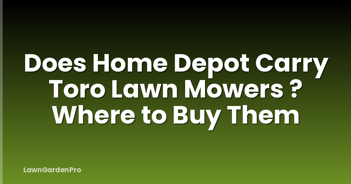 Does Home Depot Carry Toro Lawn Mowers ? Where to Buy Them - LawnGardenPro