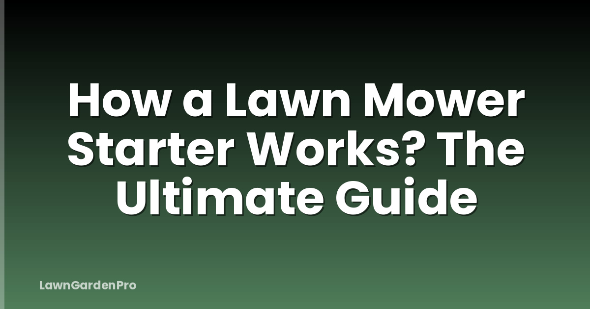 How to a Honda Lawn Mower Carburetor? Easy Step by Step Instructions ...