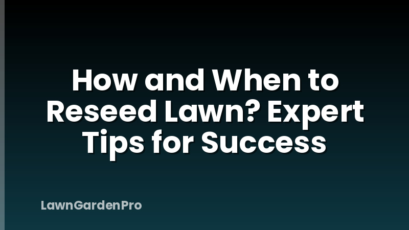 How and When to Reseed Lawn? Expert Tips for Success - LawnGardenPro