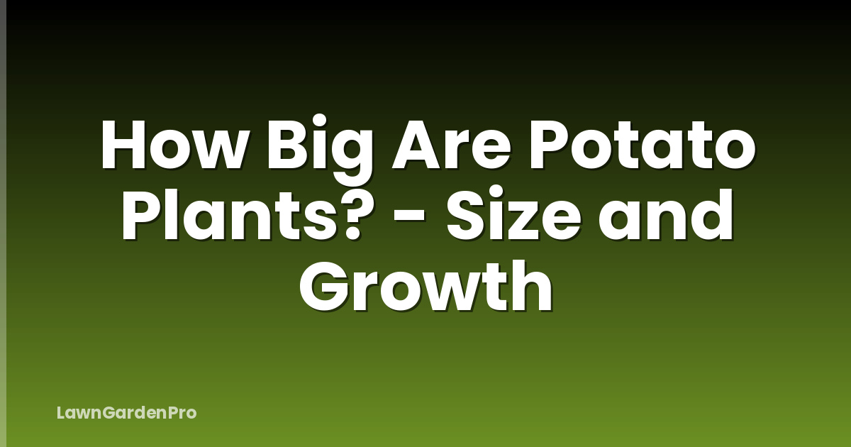 How Big Are Potato Plants? - Size and Growth - LawnGardenPro