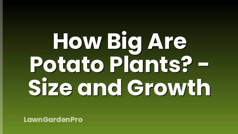 How Big Are Potato Plants? - Size and Growth - LawnGardenPro