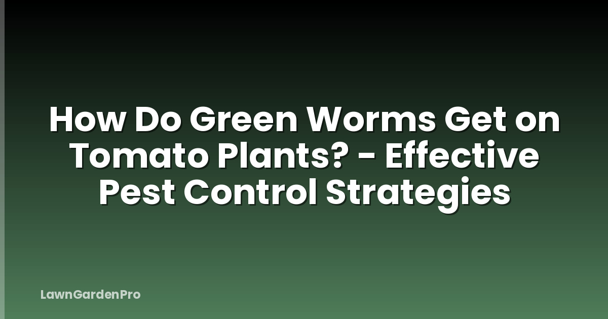 How to Give Nitrogen to Tomato Plants? - Boost Crop Yield - LawnGardenPro