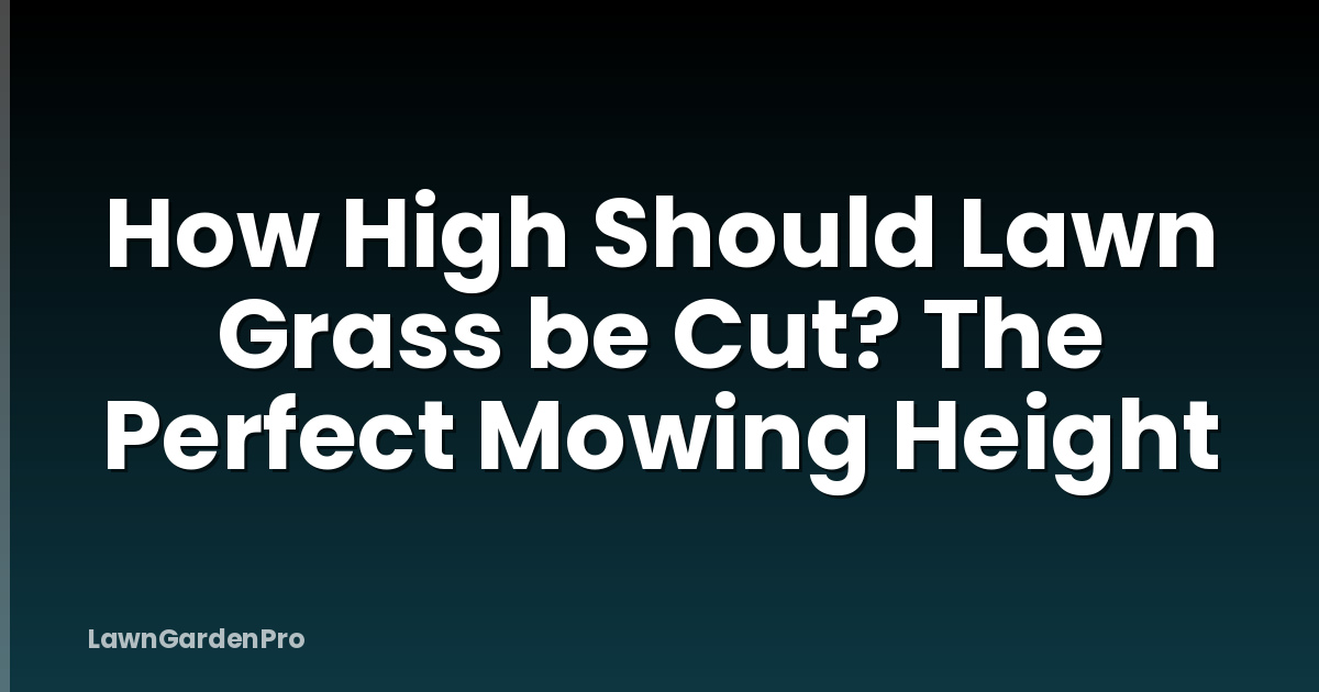 How High Should Lawn Grass be Cut? The Perfect Mowing Height ...
