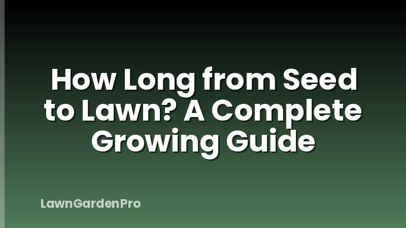 How Long from Seed to Lawn? A Complete Growing Guide - LawnGardenPro