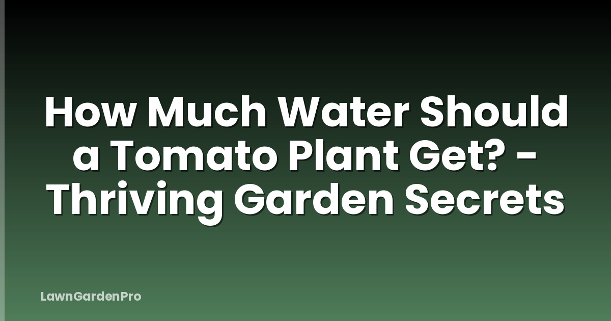 How Much Water Should a Tomato Plant Get? - Thriving Garden Secrets ...
