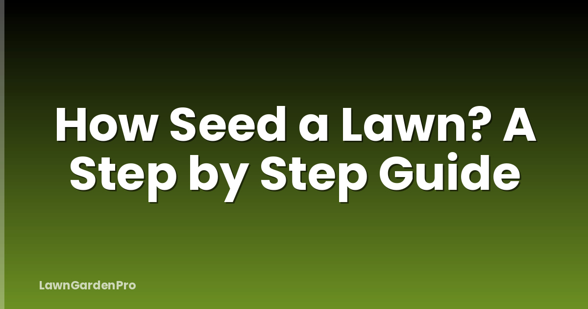 How Seed a Lawn? A Step by Step Guide - LawnGardenPro