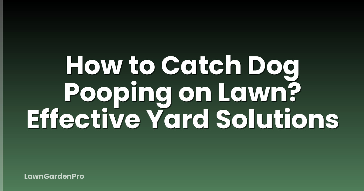 How to Catch Dog Pooping on Lawn? Effective Yard Solutions - LawnGardenPro