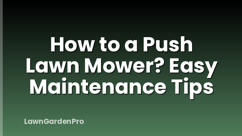 How to a Push Lawn Mower? Easy Maintenance Tips - LawnGardenPro