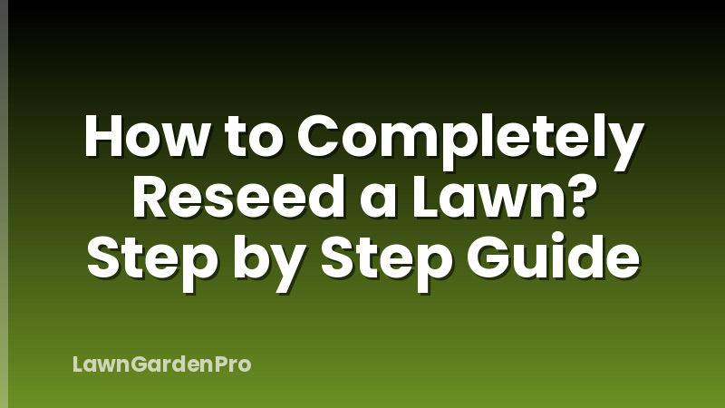 How to Completely Reseed a Lawn? Step by Step Guide - LawnGardenPro