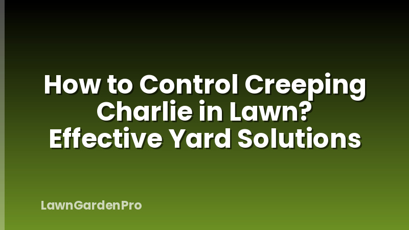 How to Control Creeping Charlie in Lawn? Effective Yard Solutions ...