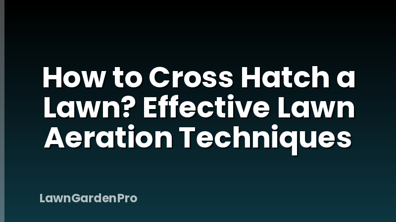 How to Cross Hatch a Lawn? Effective Lawn Aeration Techniques ...