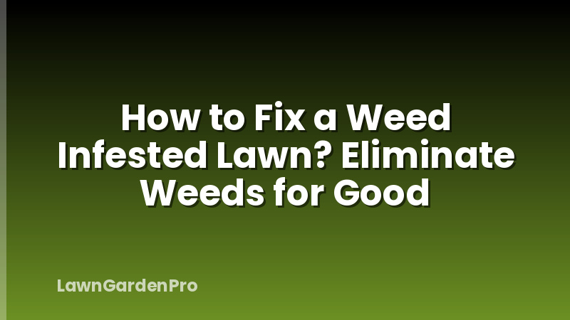 How to Fix a Weed Infested Lawn? Eliminate Weeds for Good - LawnGardenPro