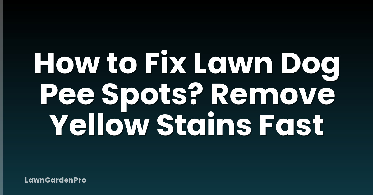 How to Fix Lawn Dog Pee Spots? Remove Yellow Stains Fast - LawnGardenPro