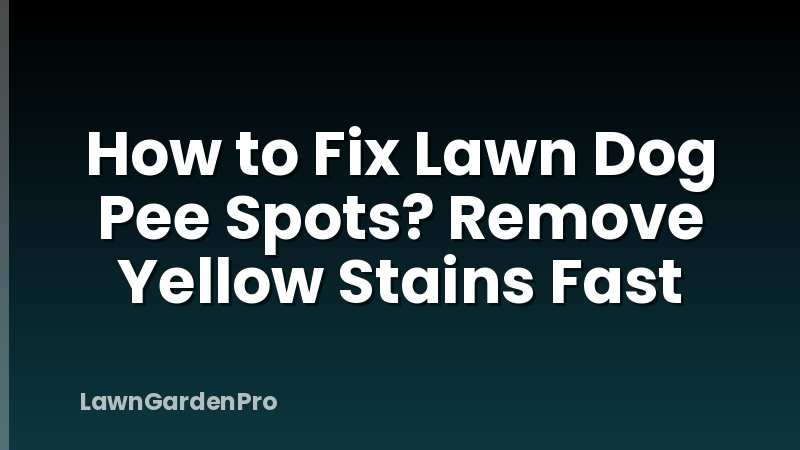 How to Fix Lawn Dog Pee Spots? Remove Yellow Stains Fast - LawnGardenPro