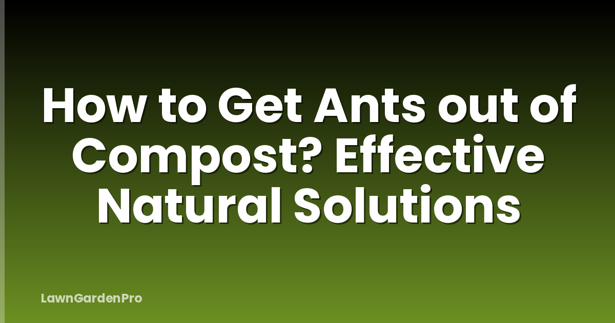 How to Get Ants out of Compost? Effective Natural Solutions - LawnGardenPro