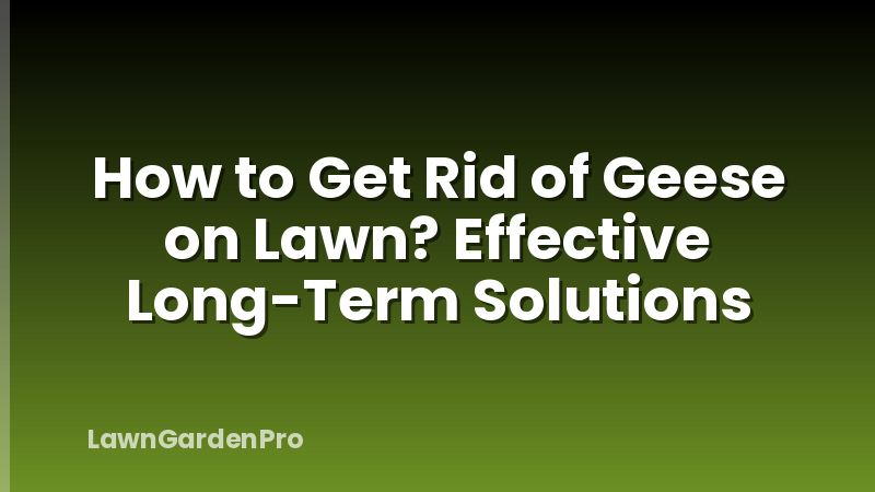 How to Get Rid of Geese on Lawn? Effective Long-Term Solutions ...