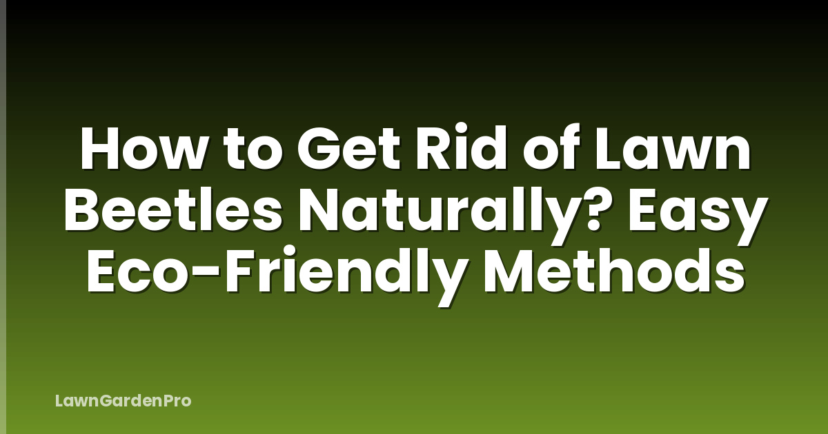 How to Get Rid of Lawn Beetles Naturally? Easy Eco-Friendly Methods ...