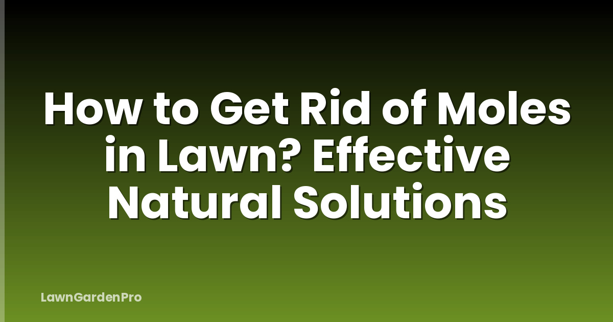 How to Get Rid of Moles in Lawn? Effective Natural Solutions ...