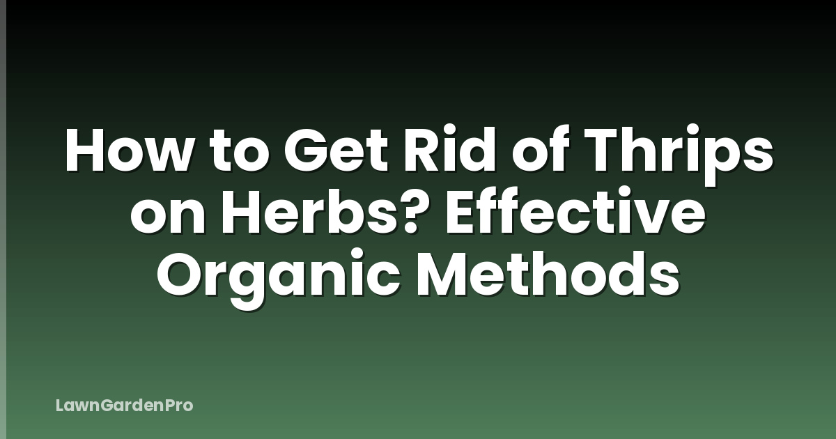 How to Get Rid of Thrips on Herbs? Effective Organic Methods ...