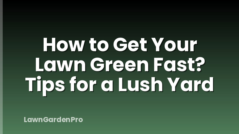 How to Get Your Lawn Green Fast? Tips for a Lush Yard - LawnGardenPro