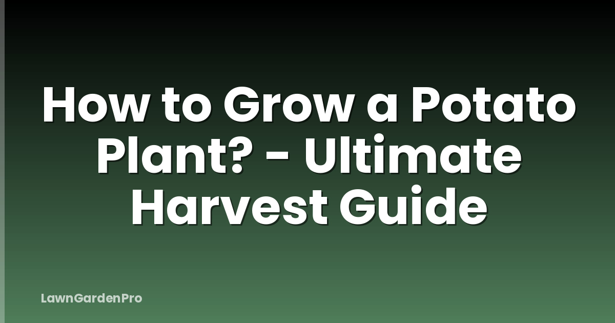 How to Harvest Potato Plants? - Ultimate Harvesting Guide - LawnGardenPro