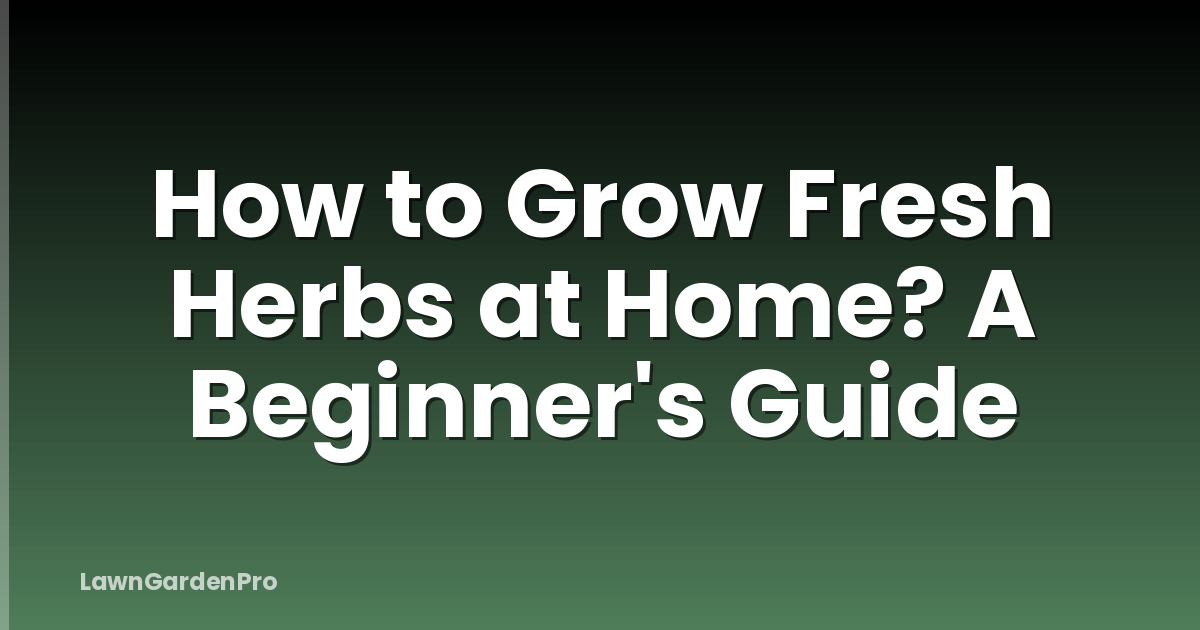 How to Grow Fresh Herbs at Home? A Beginner's Guide - LawnGardenPro