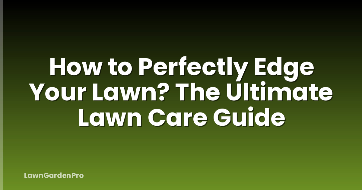 How to Completely Reseed a Lawn? Step by Step Guide - LawnGardenPro