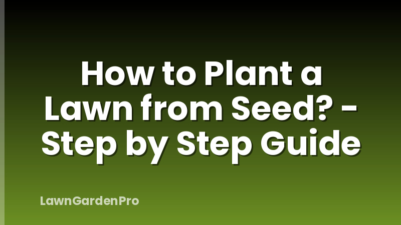 How to Plant a Lawn from Seed? - Step by Step Guide - LawnGardenPro