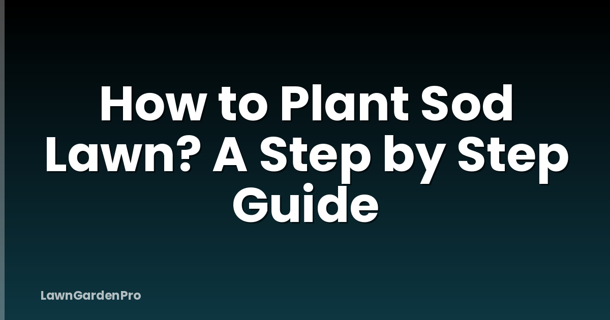 How to Plant Sod Lawn? A Step by Step Guide - LawnGardenPro