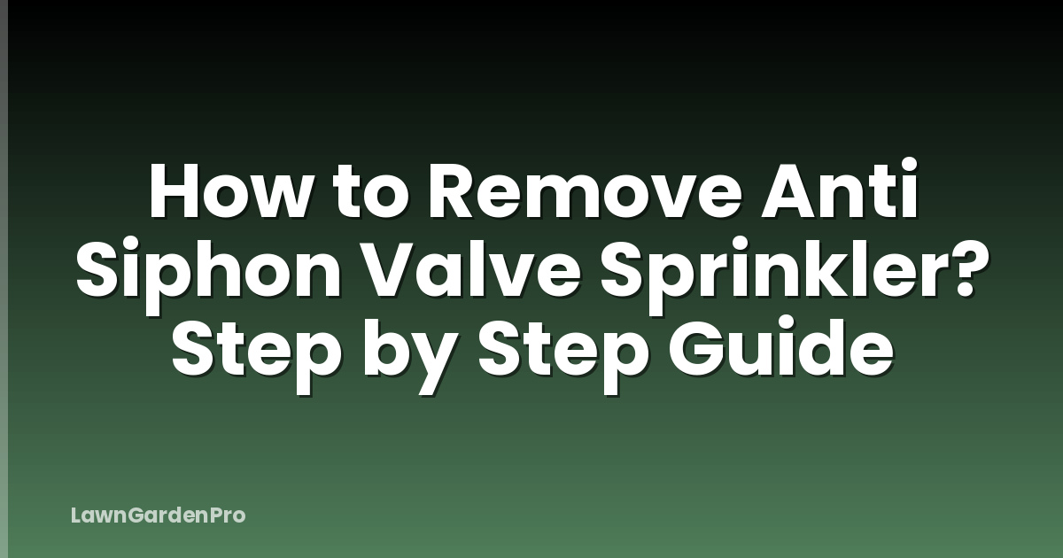 How to Remove Anti Siphon Valve Sprinkler? Step by Step Guide ...