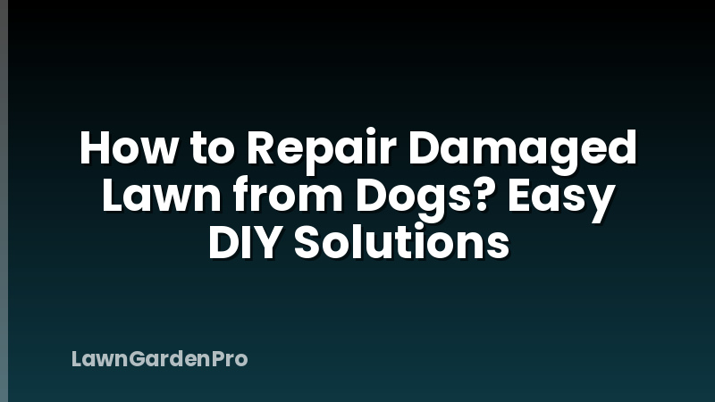 How to Repair Damaged Lawn from Dogs? Easy DIY Solutions - LawnGardenPro