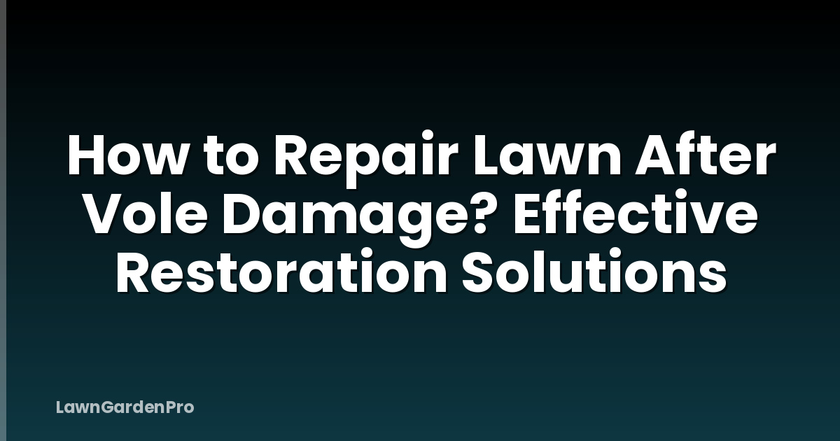 How to Repair Lawn After Vole Damage? Effective Restoration Solutions ...