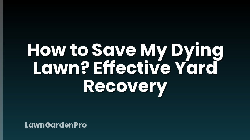 How to Save My Dying Lawn? Effective Yard Recovery - LawnGardenPro