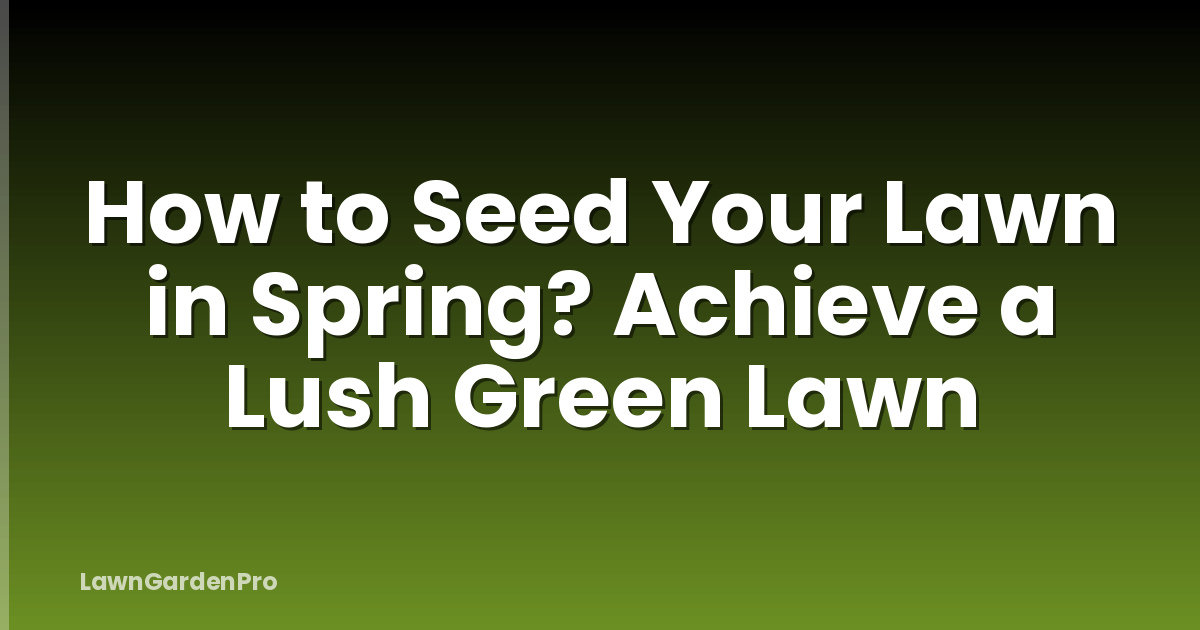 How to Seed Your Lawn in Spring? Achieve a Lush Green Lawn - LawnGardenPro