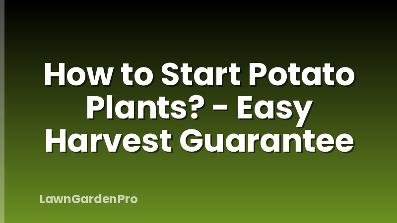 How to Start Potato Plants? - Easy Harvest Guarantee - LawnGardenPro
