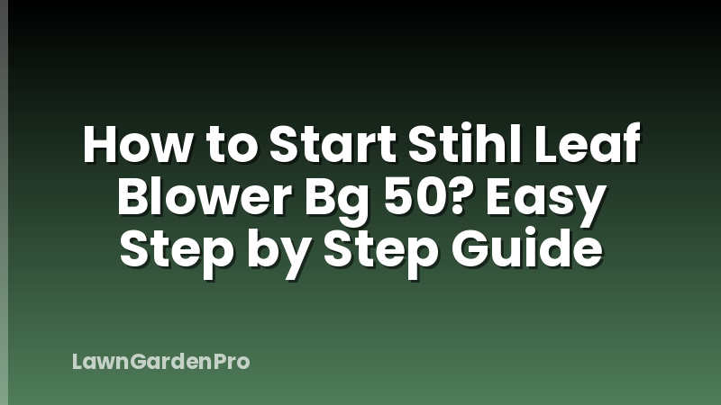 How to Start Stihl Leaf Blower Bg 50? Easy Step by Step Guide ...