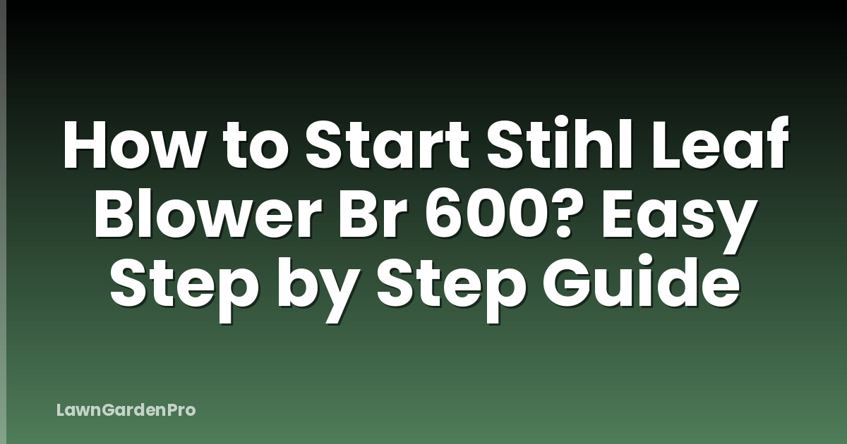 How to Start Stihl Leaf Blower Br 600? Easy Step by Step Guide ...