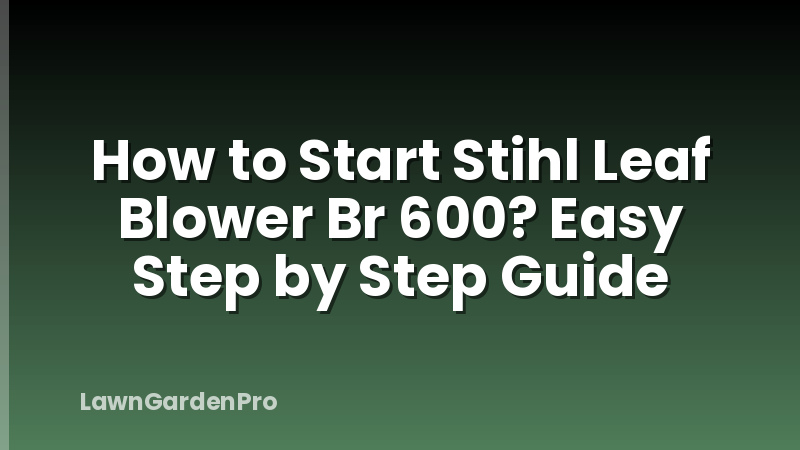 How to Start Stihl Leaf Blower Br 600? Easy Step by Step Guide ...