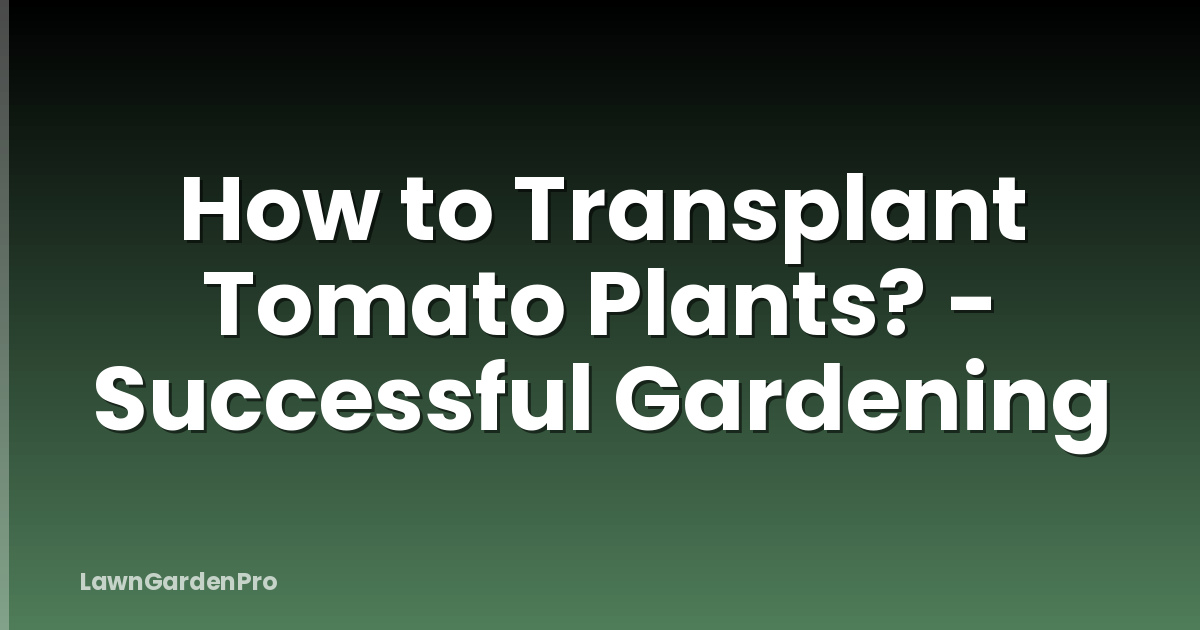 Where Should Tomato Plants be Planted? - Ultimate Gardening Secrets ...