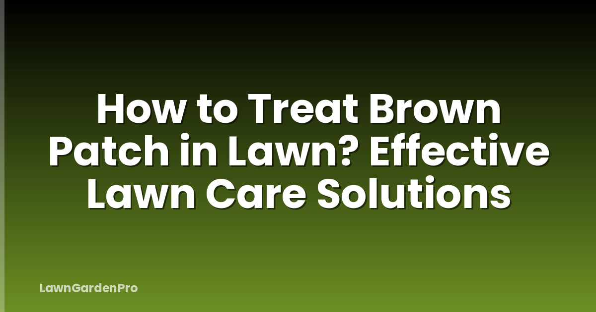 How to Treat Brown Patch in Lawn? Effective Lawn Care Solutions ...