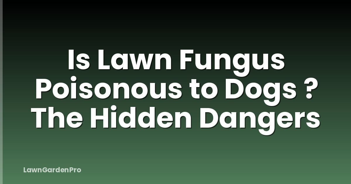 Is Lawn Fungus Poisonous to Dogs ? The Hidden Dangers - LawnGardenPro