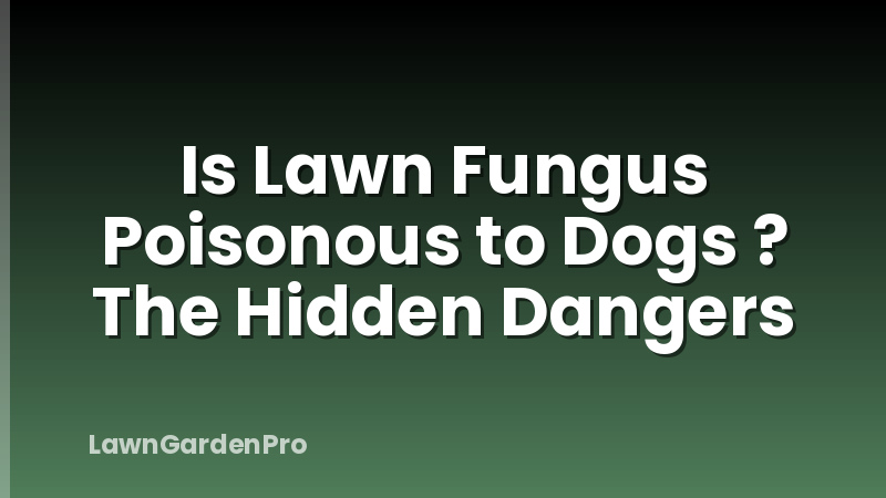 Is Lawn Fungus Poisonous to Dogs ? The Hidden Dangers - LawnGardenPro