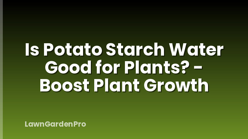 Is Potato Starch Water Good for Plants? - Boost Plant Growth ...